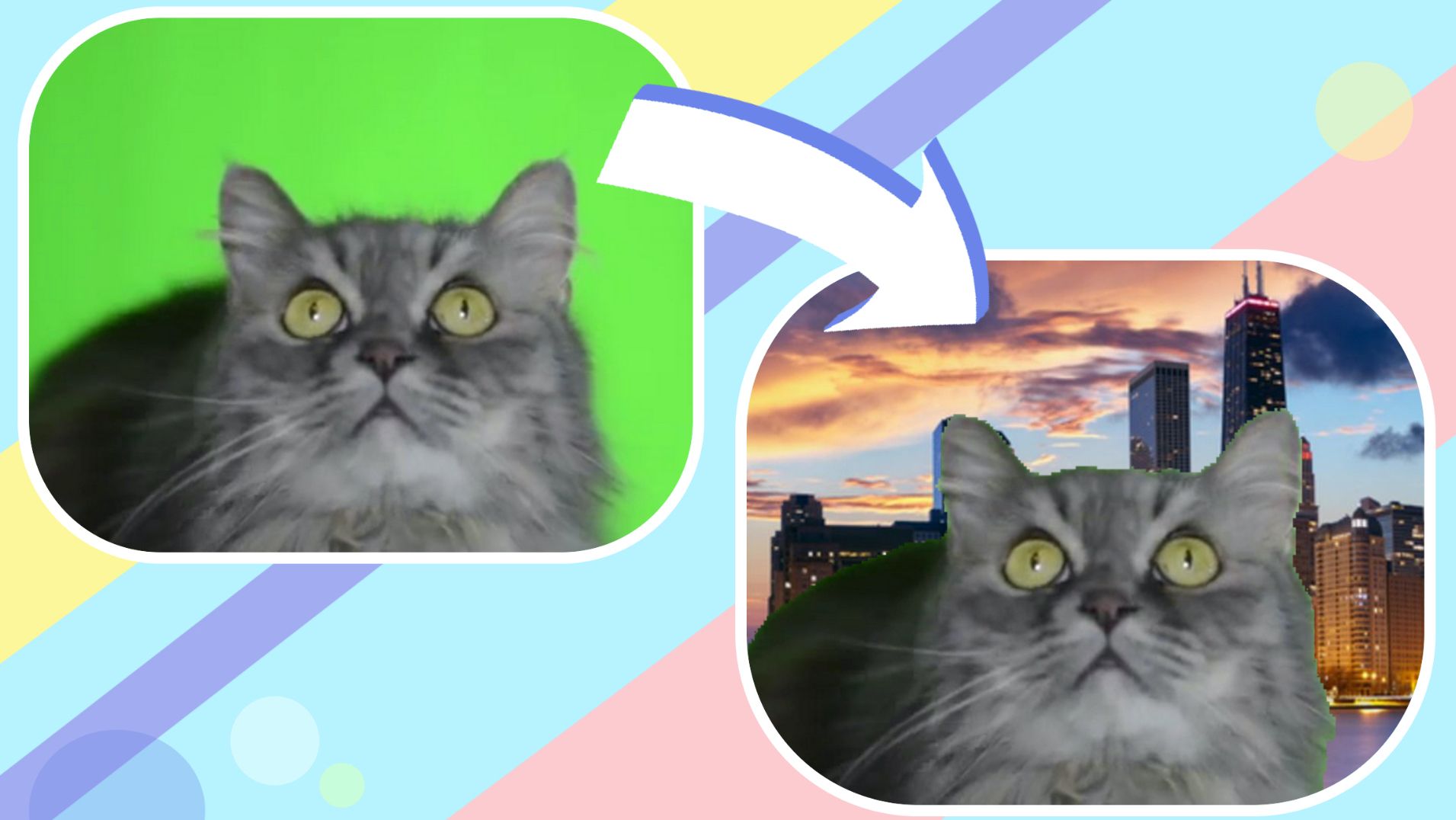 Green Screen in the Browser With HTML Canvas