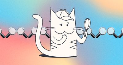 How to Find Kapwing Tutorials