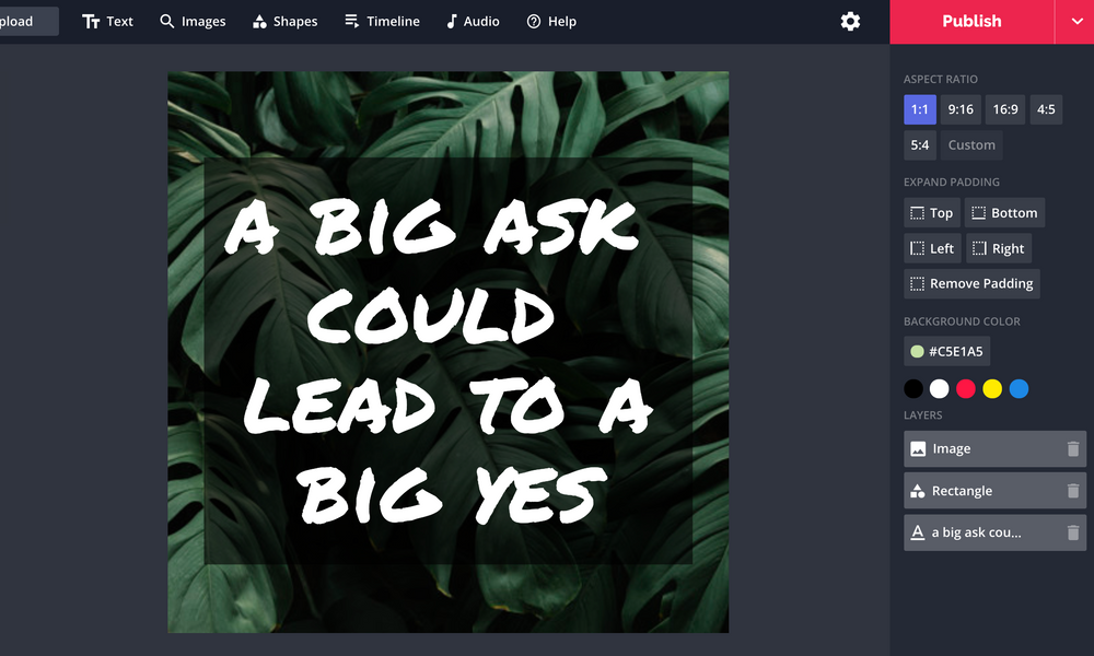 Text Posts on Instagram: How to Create your Own