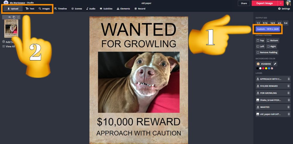 Online Wanted Poster Maker – Layouts, Custom Text, Effects