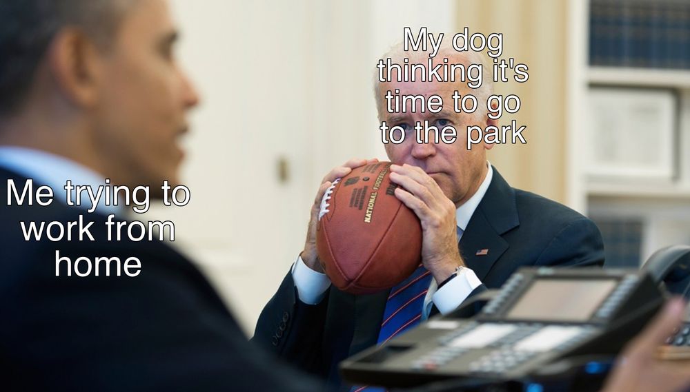 20 Hilarious Presidents Day Memes