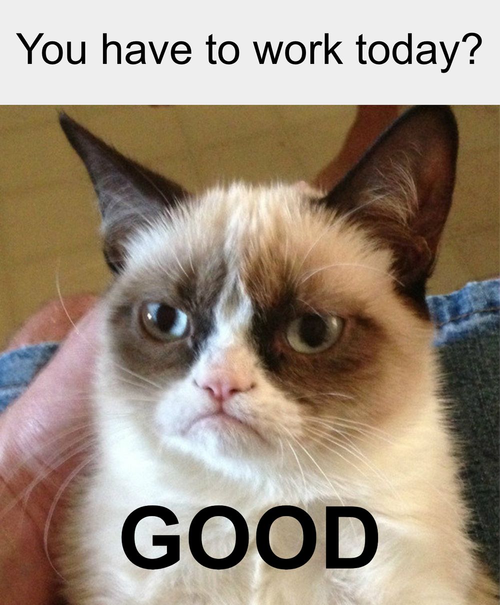 20 Hilarious Presidents Day Memes