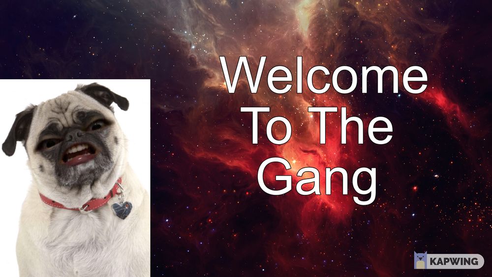 Top 5 Discord Bots and Tools to Boost Your Server