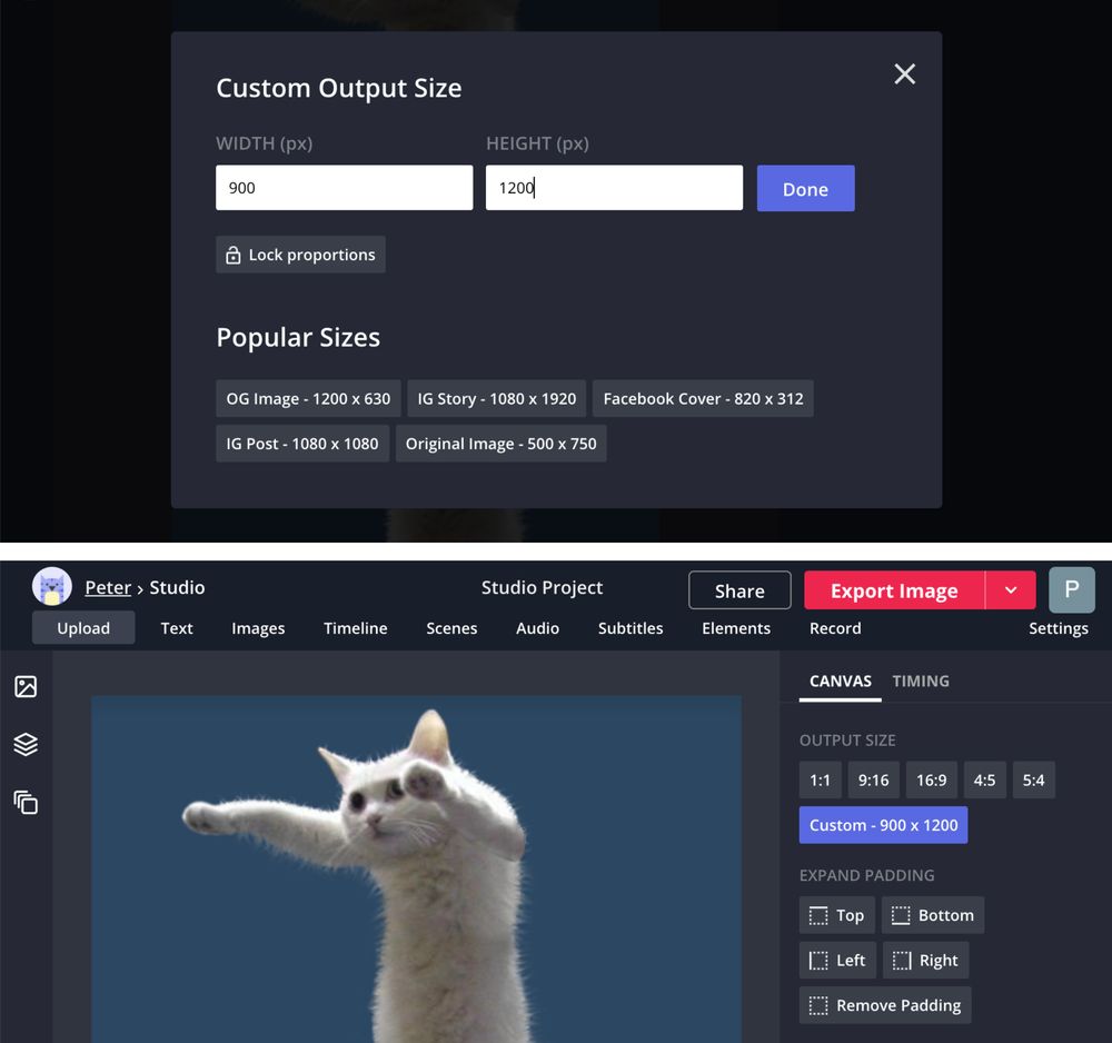 Twitter Crop Update: New Image Sizes for 2021