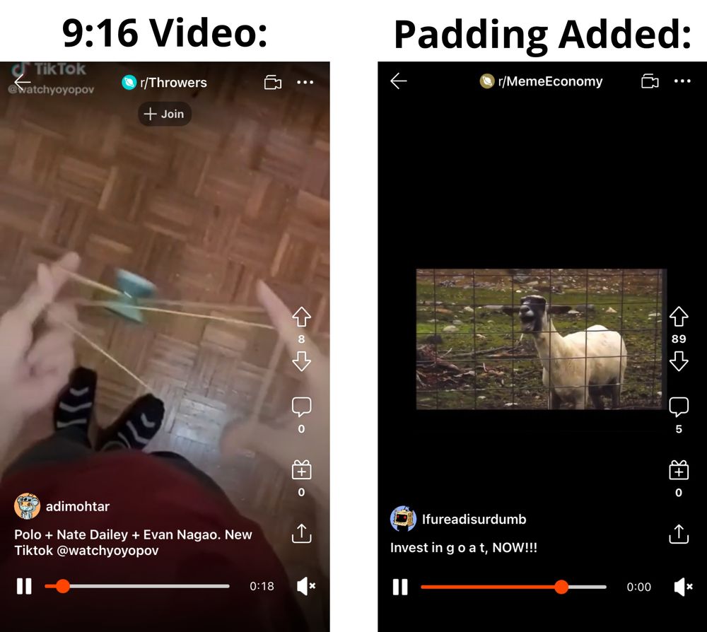 NEW Reddit Video Feed: Everything You Need to Know