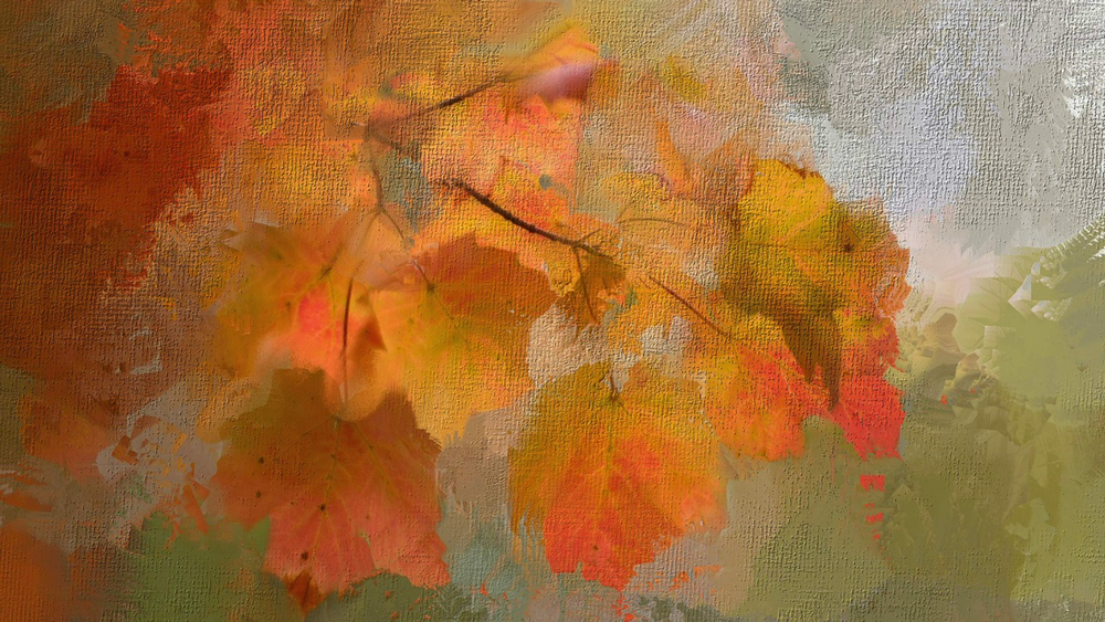 20 Thanksgiving Zoom Backgrounds for a Virtual Gathering