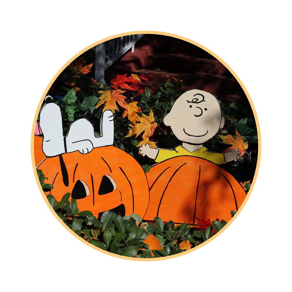 10 Creative Thanksgiving PFP Ideas