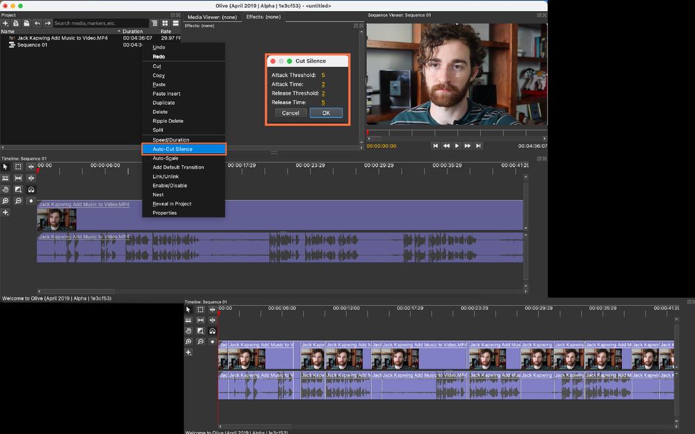 The Best Way to Remove Silences from Videos Automatically