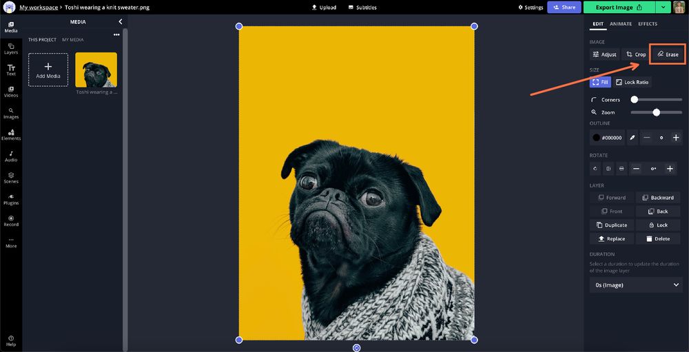 How to Get a Transparent Profile Picture on TikTok
