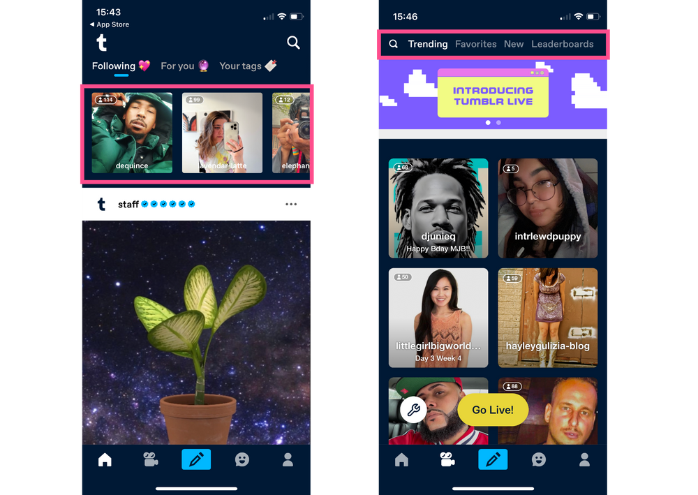 How to Use Tumblr Live for Streaming (and Why You Should)