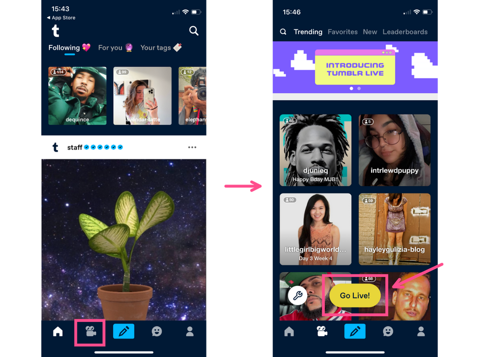 How to Use Tumblr Live for Streaming (and Why You Should)