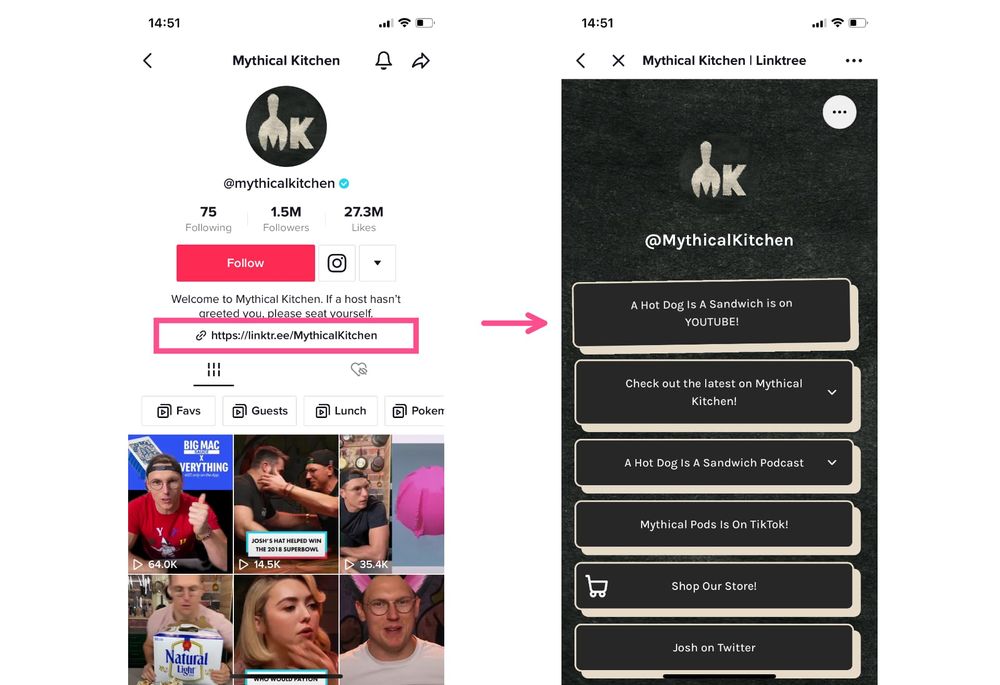 How to Add a Link to Your TikTok Bio (and Why You Should)