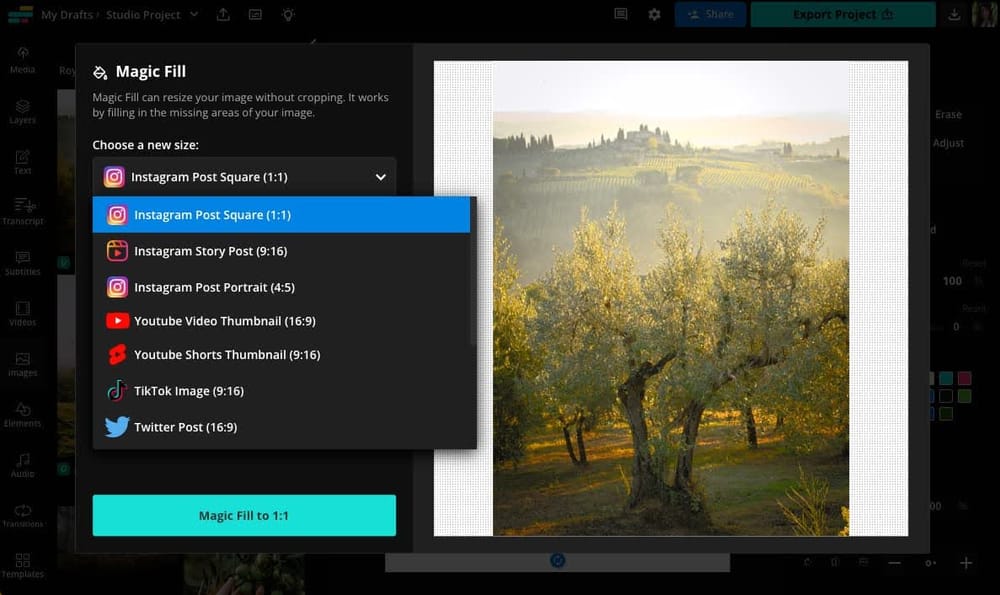 How to Post Long Photos on Instagram (Without Cropping)