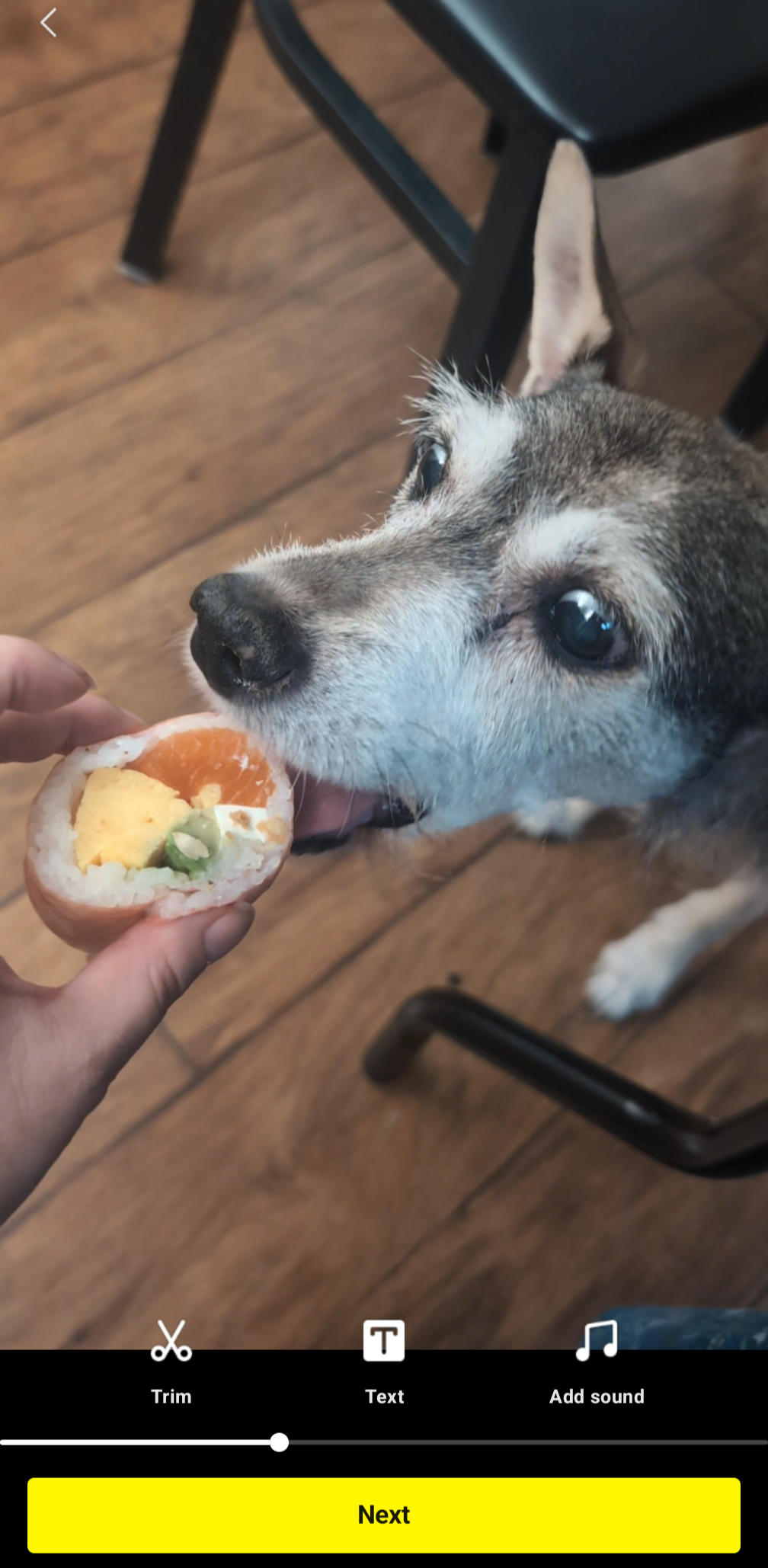 How to Use Lemon8: Post, Make Money, and Build an Audience