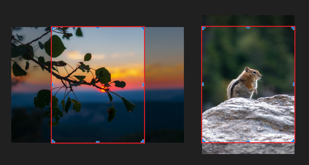Instagram's New Grid Layout: Size and Dimensions (2025)