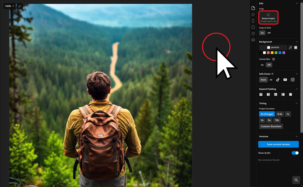How to Use DeepSeek AI Image Generator (Janus Pro)