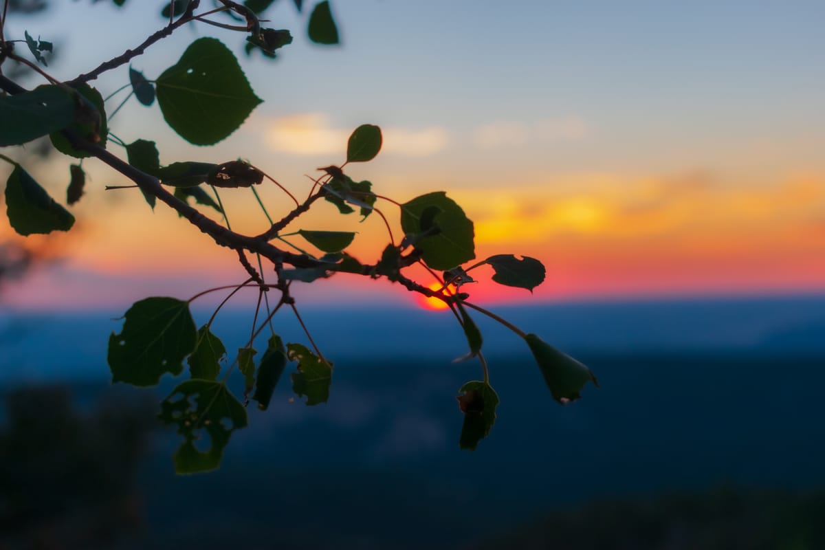 Jared Ingalls - Kapwing Resources