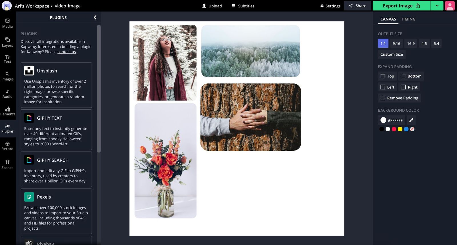 Free Online Collage Maker for Pictures