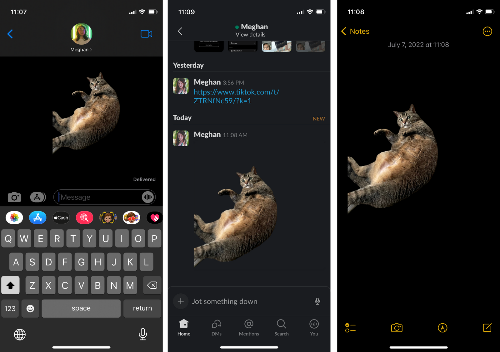 How to Remove Image Backgrounds without iOS 16 (Any Device)