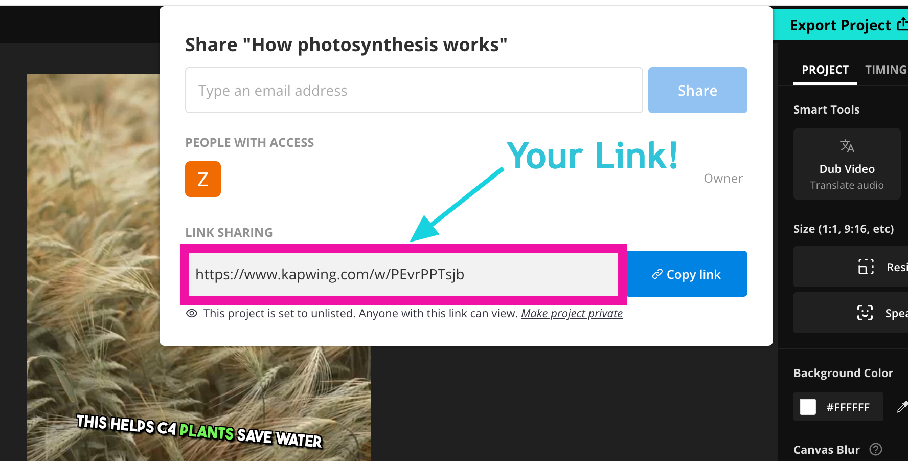 How to Cite AI-Generated Videos