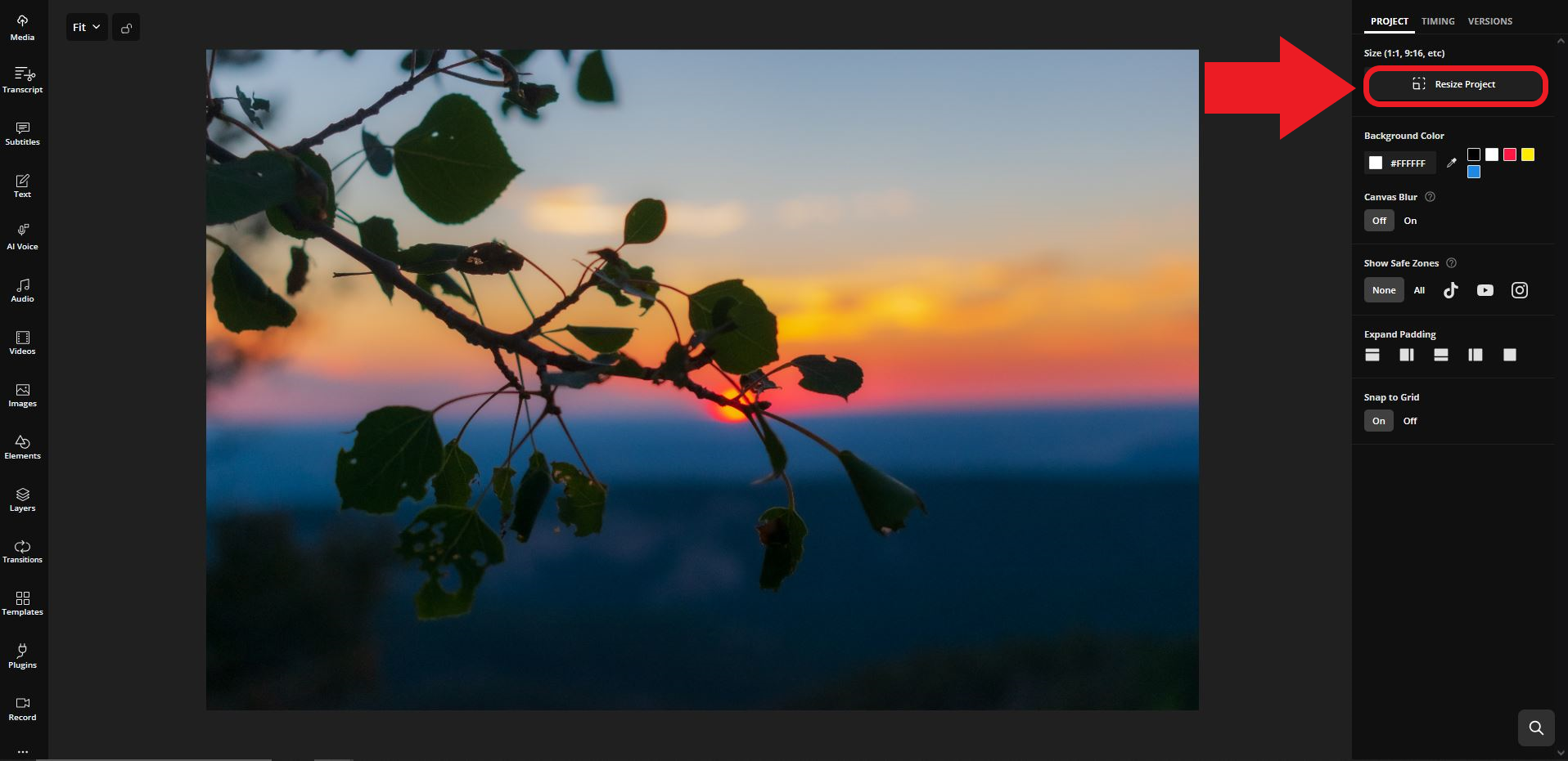 Bluesky Starter Packs Explained: How to Start Posting