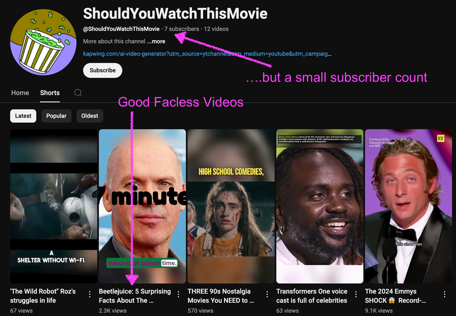 We Grew a Faceless YouTube Channel to 1000 Subscribers