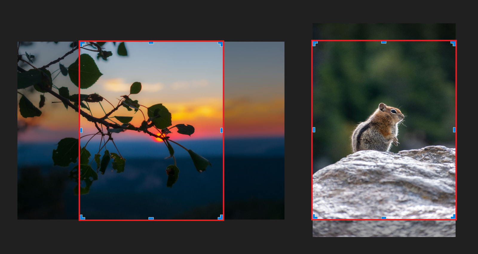 Instagram's New Grid Layout: Size and Dimensions (2025)