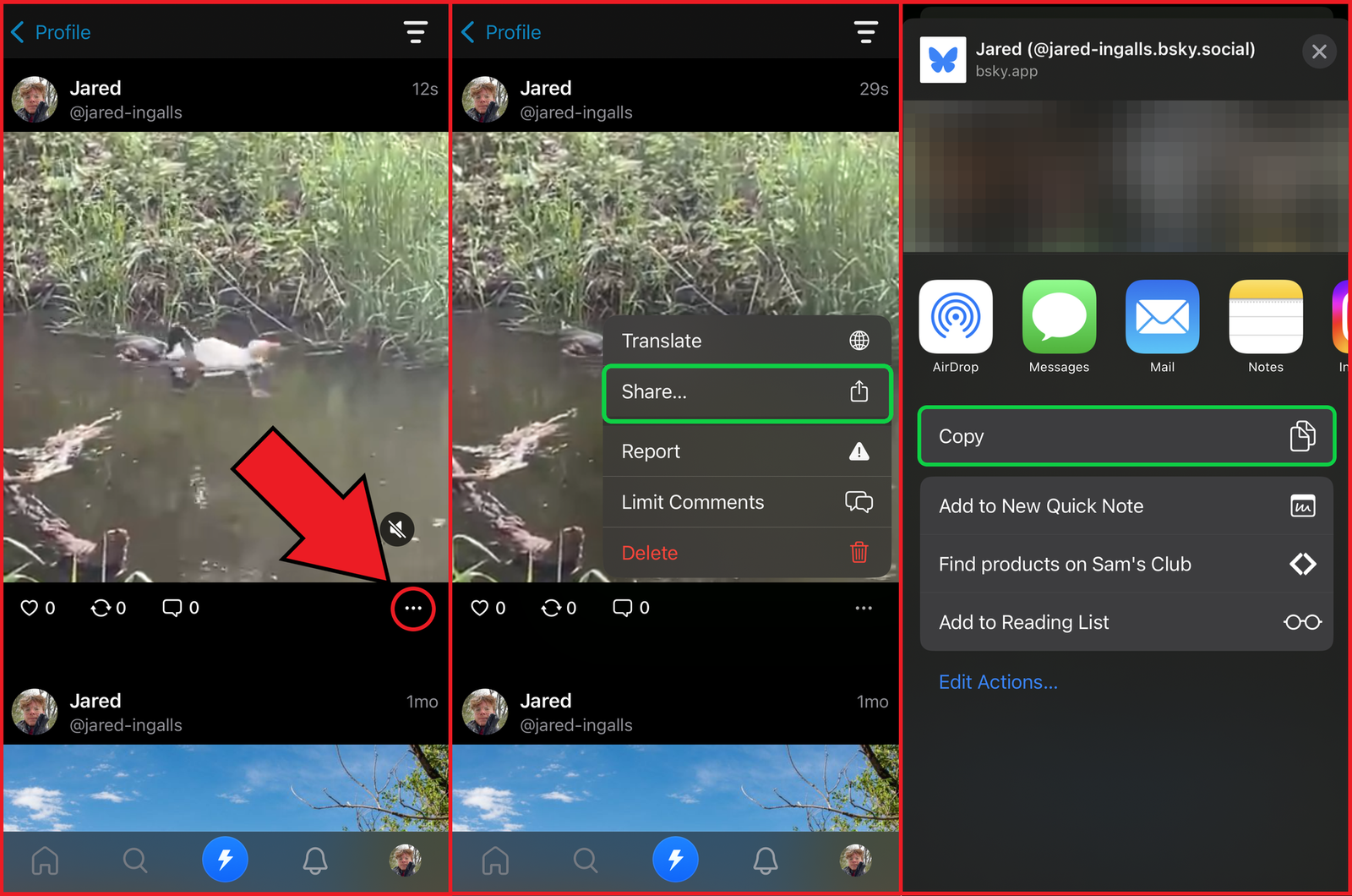 Bluesky Flashes: Photo and Video Guide