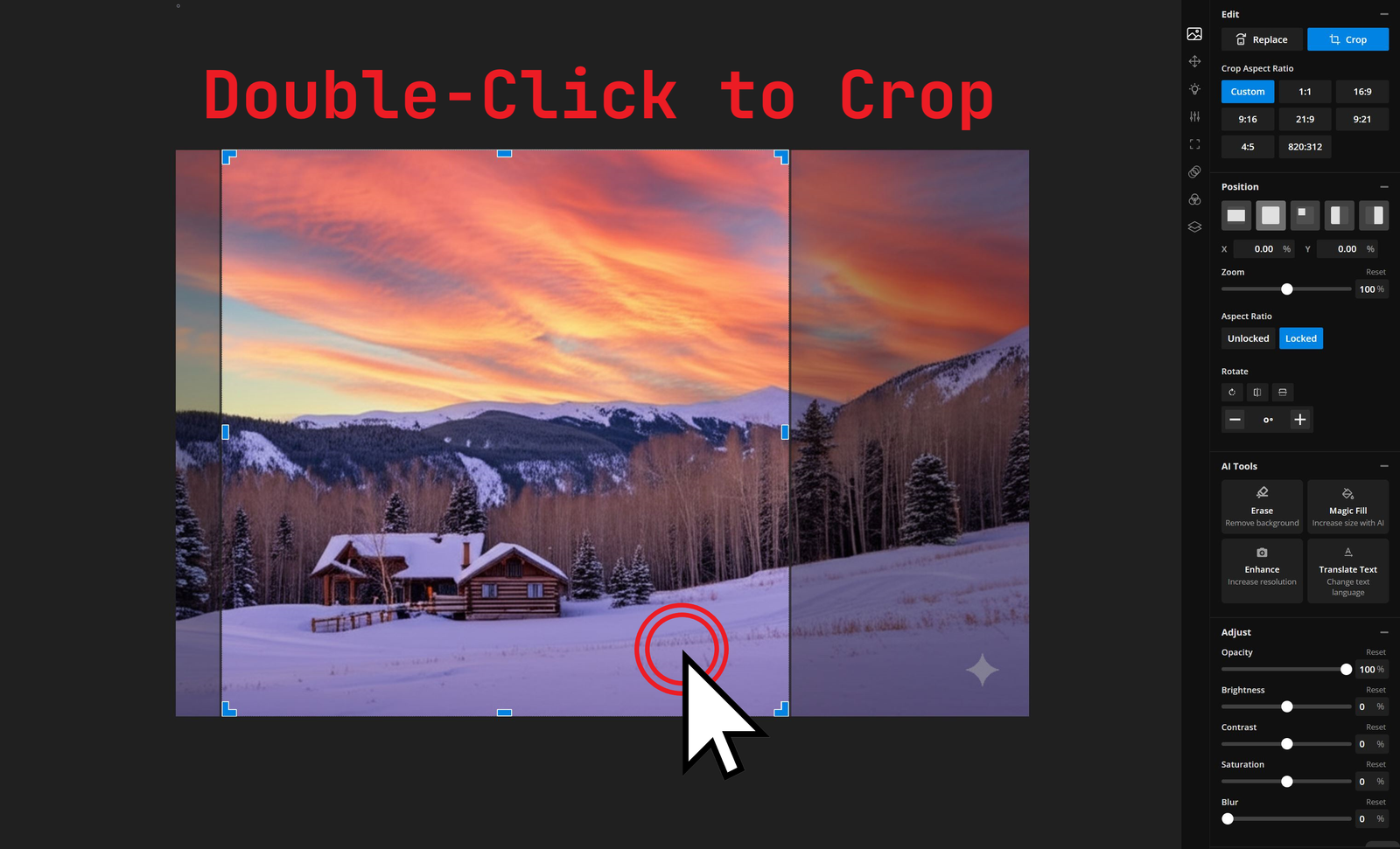 How to use Gemini Flash 2.0 Image Generator and Editor