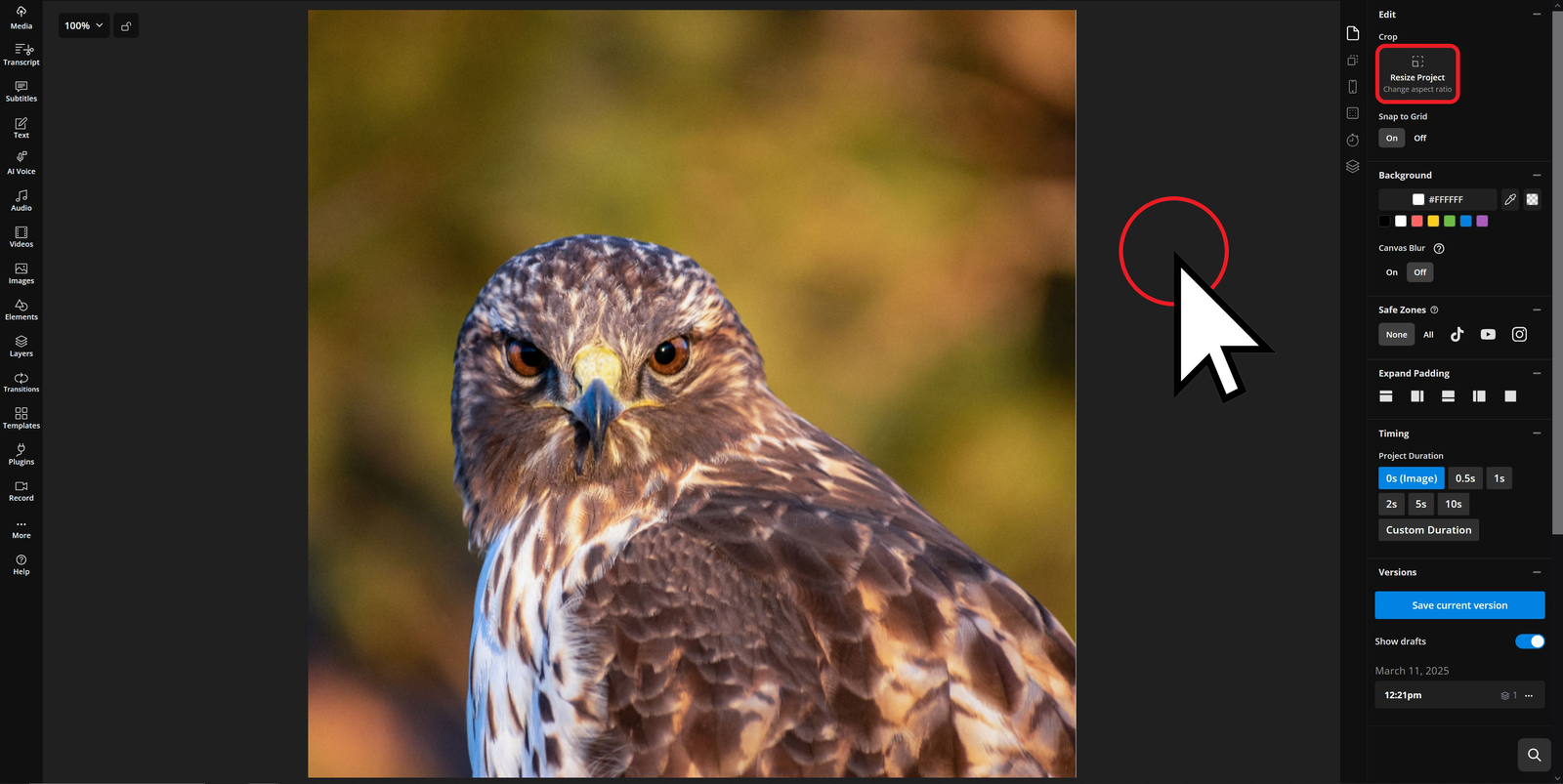 Turn a Square Photo Into a Landscape Image Using AI