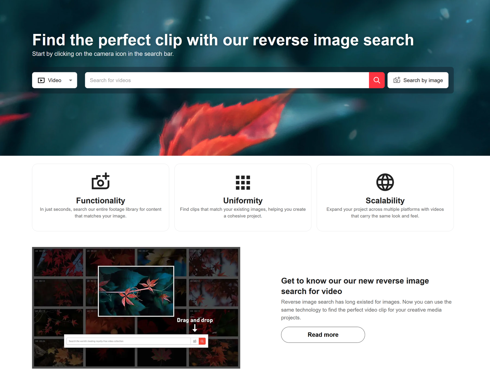 How to Reverse Video Search