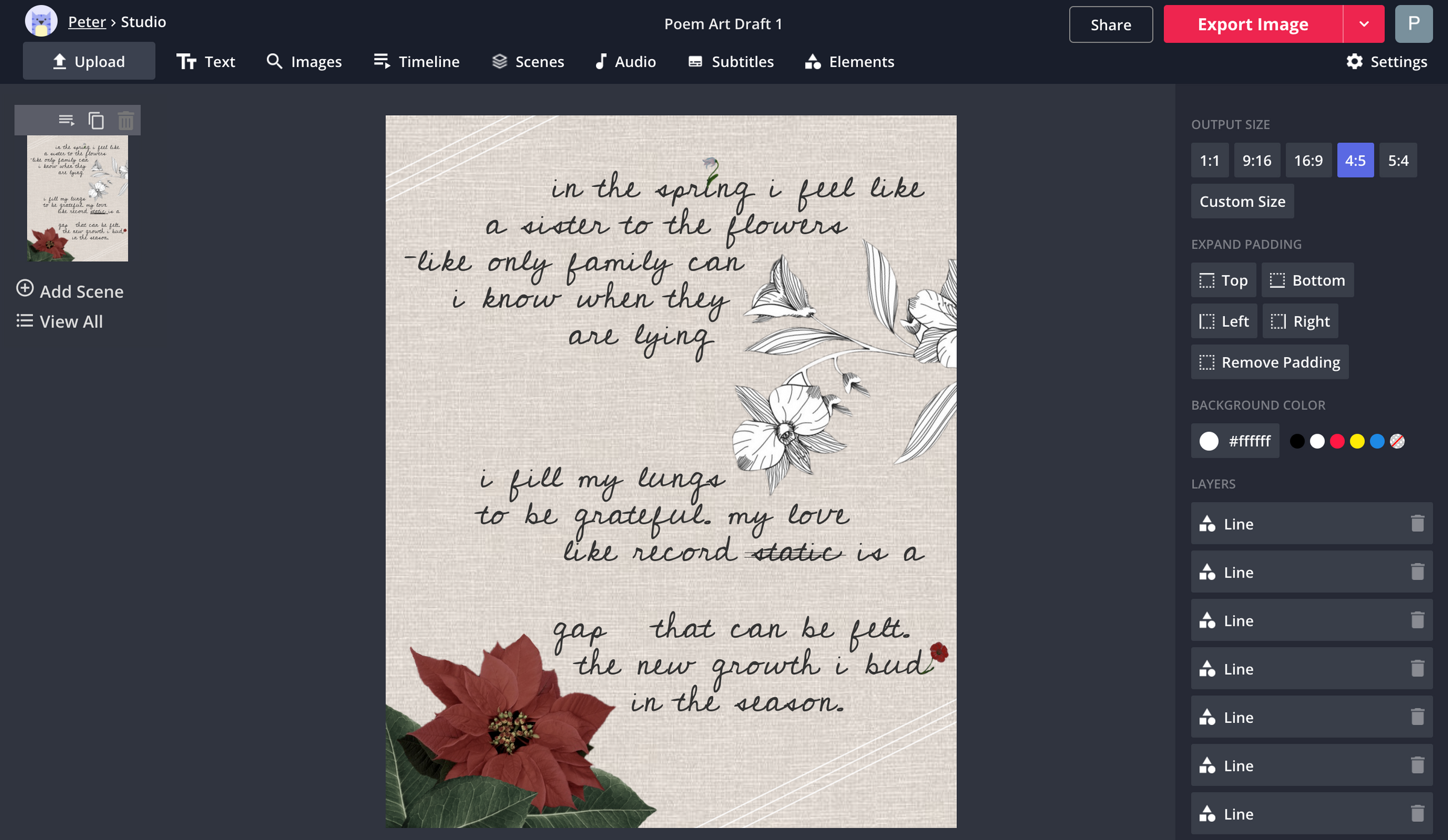 How to Make Aesthetic Poem Art Online