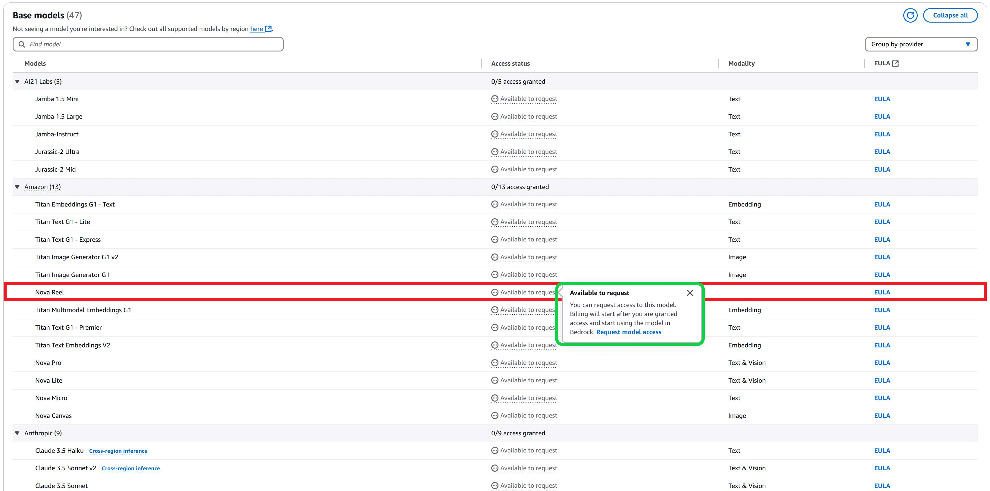 Amazon Nova Reel: Guide to Creating AI Videos
