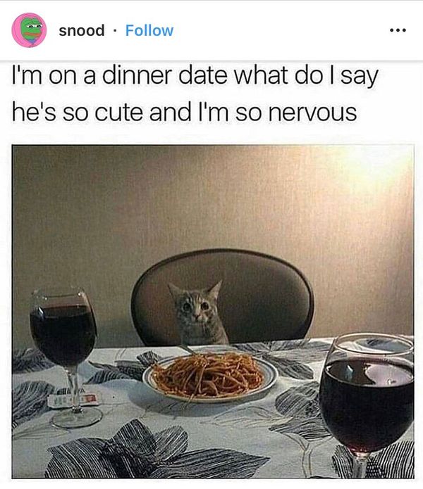 How to Make a Meme With Writing Above the Image