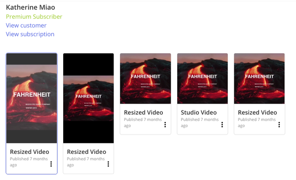 Free Video Layer Editor by Kapwing