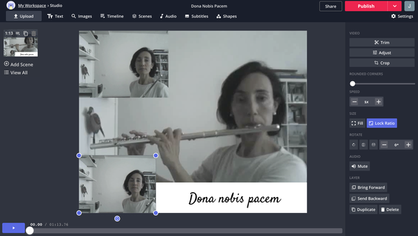 How to Make a Musical Video Collage