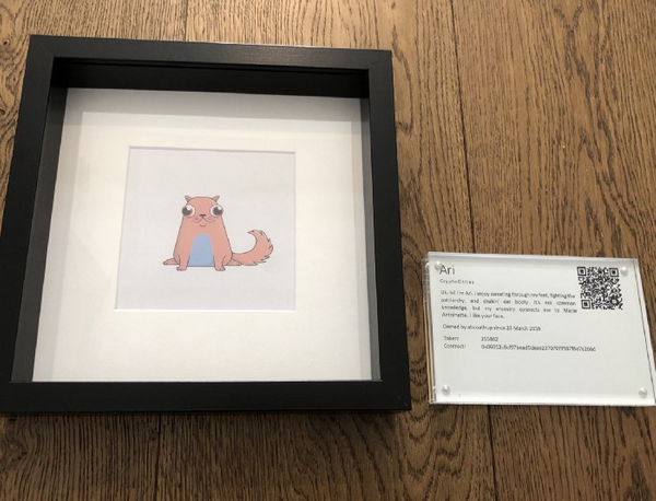 How to Display Your NFT Collection