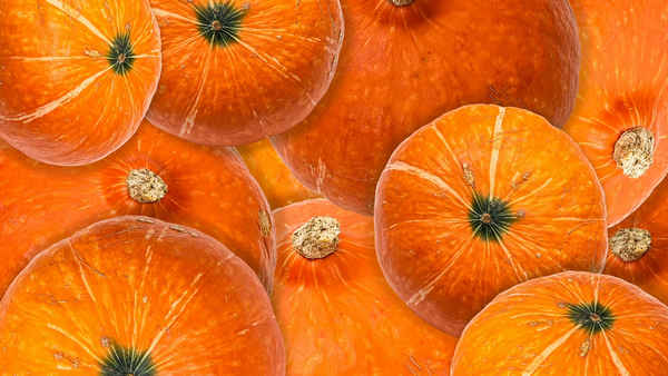 20 Thanksgiving Zoom Backgrounds for a Virtual Gathering