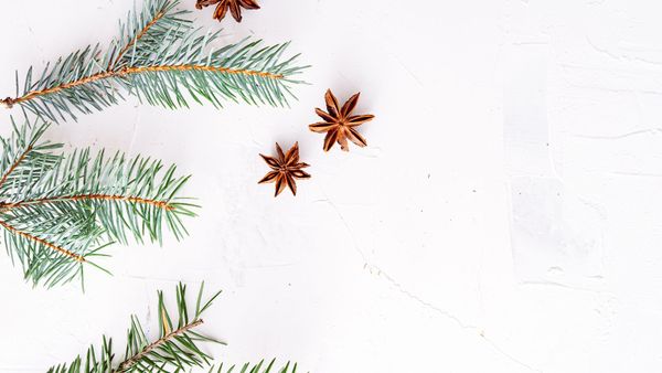 20 Best Christmas Zoom Backgrounds