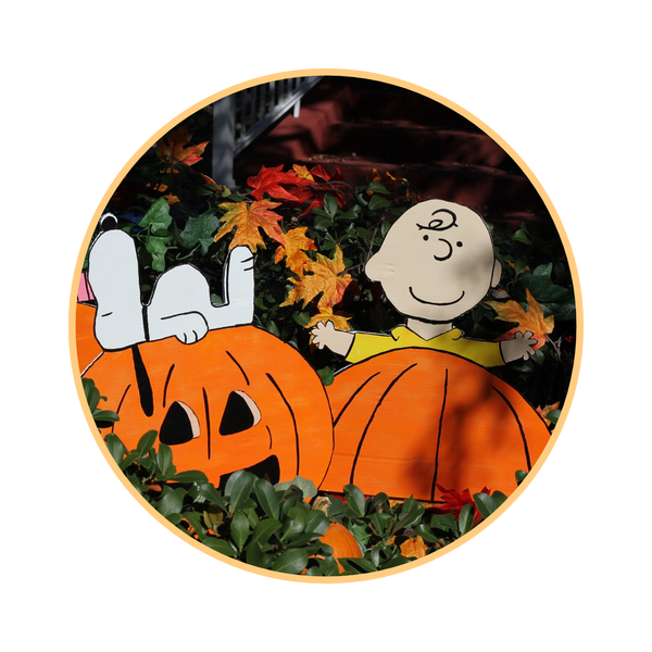 10 Creative Thanksgiving PFP Ideas