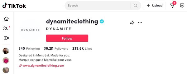 150 of the Best TikTok Bio Ideas You Can Copy and Paste