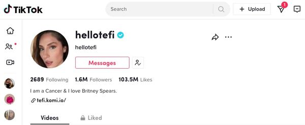 150 of the Best TikTok Bio Ideas You Can Copy and Paste