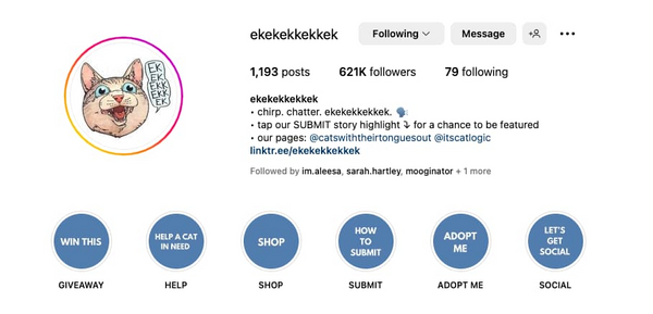 User Generated Content Examples, Tips, and Tactics