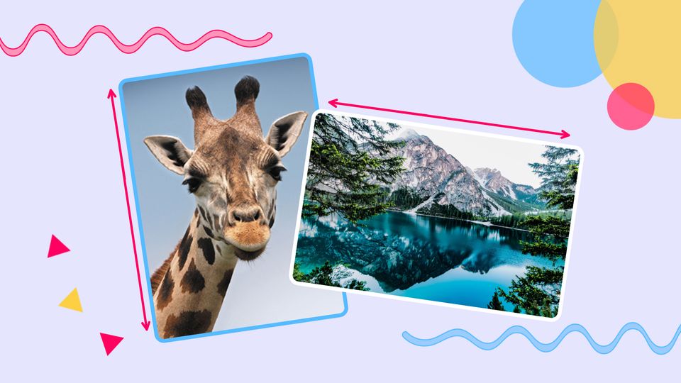 photo editor - Kapwing Resources